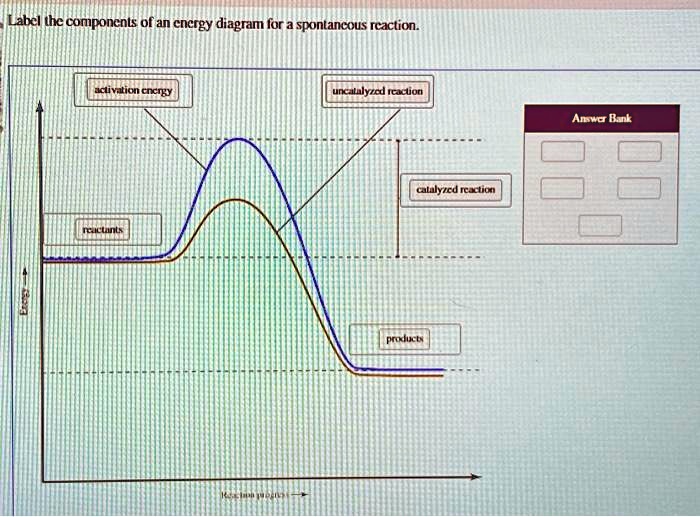 Label the components of an energy diagram for a spontaneous reaction ...