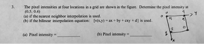 SOLVED: The pixel intensities at four locations in a grid are shown in ...