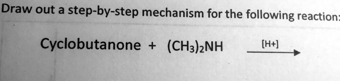 SOLVED: Draw out a step-by-step mechanism for the following reaction Cyclobutanone (CH3)2NH [H+]