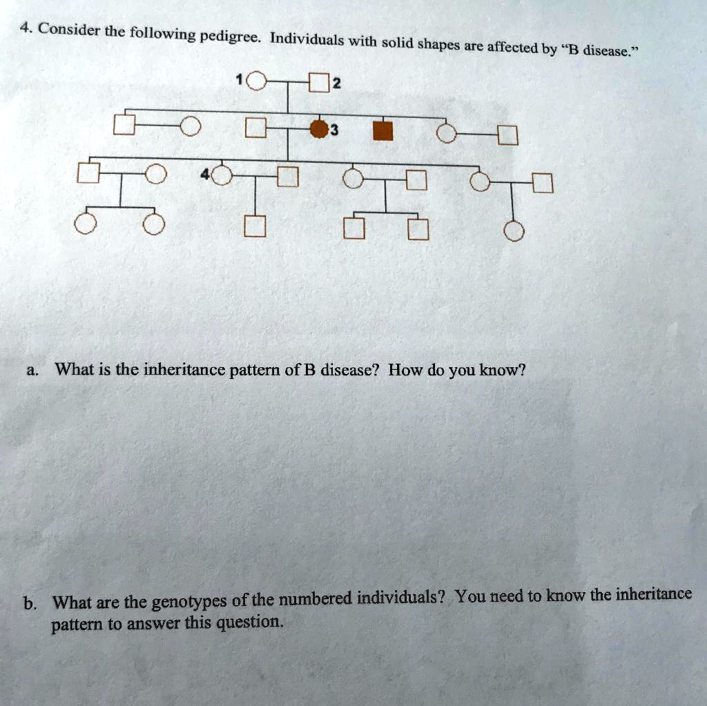 SOLVED: Consider the following pedigree Individuals with solid shapes are affected by "B disease ...