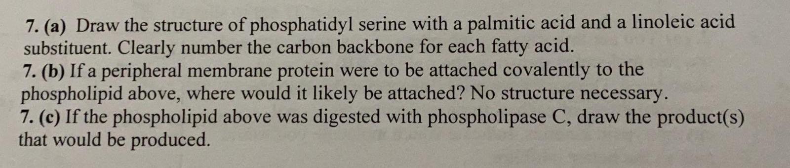7. (a) Draw the structure of phosphatidyl serine with a palmitic acid ...