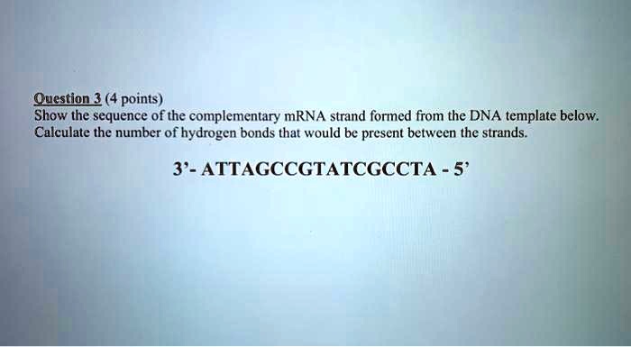 SOLVED: Question 2 (4 points): Show the sequence of the complementary mRNA strand formed from ...