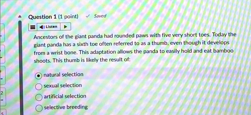 SOLVED: Question 1 (1 point) Saved LIsten Ancestors of the giant panda ...
