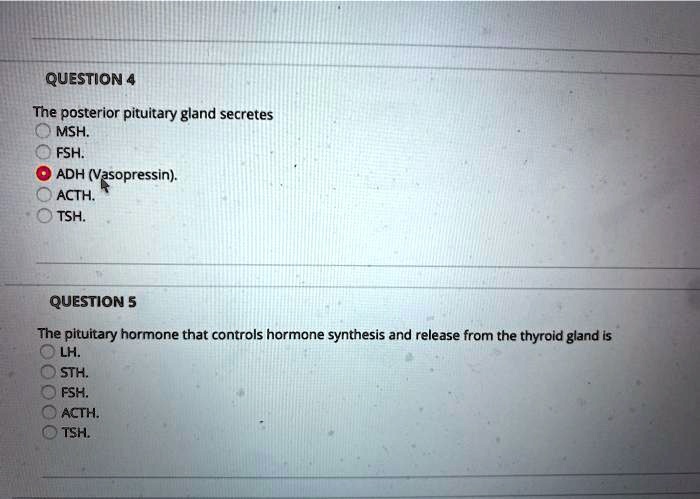 QUESTION 4 The posterior pituitary gland...