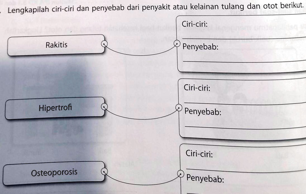 SOLVED: bisa di batuin gak soalnya itu di foto Lengkapilah ciri-ciri ...