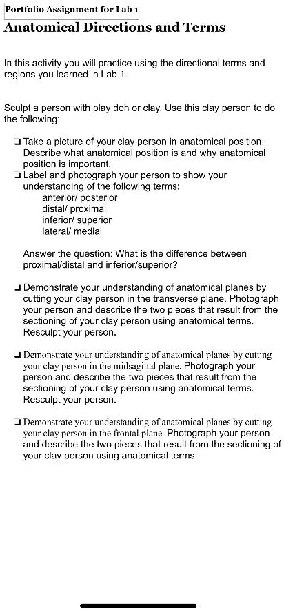 Portfolio Assignment for Lab 1 Anatomical Directions and Terms In this ...