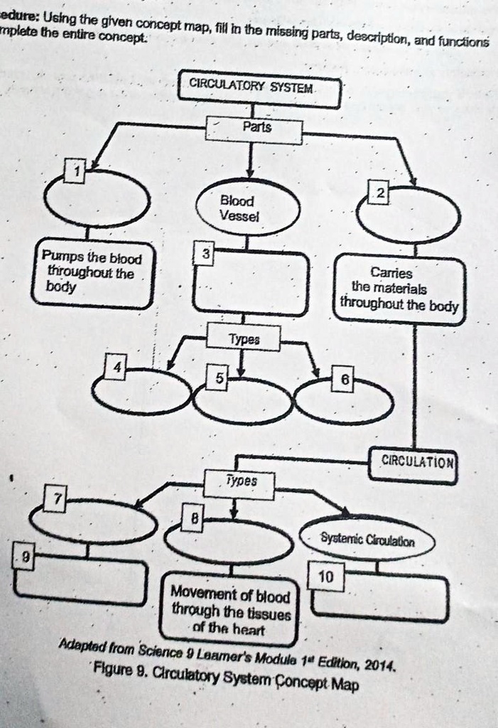 identify the components of the circulatory system describe the ...