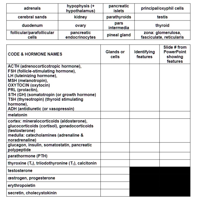 adrenals hypophysis hypothalamus kidney pancreatic islets parathyroids ...