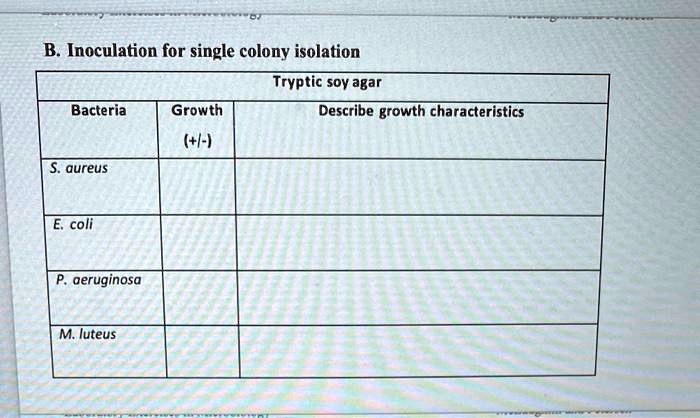 SOLVED: B. Inoculation for single colony isolation on Tryptic soy agar ...