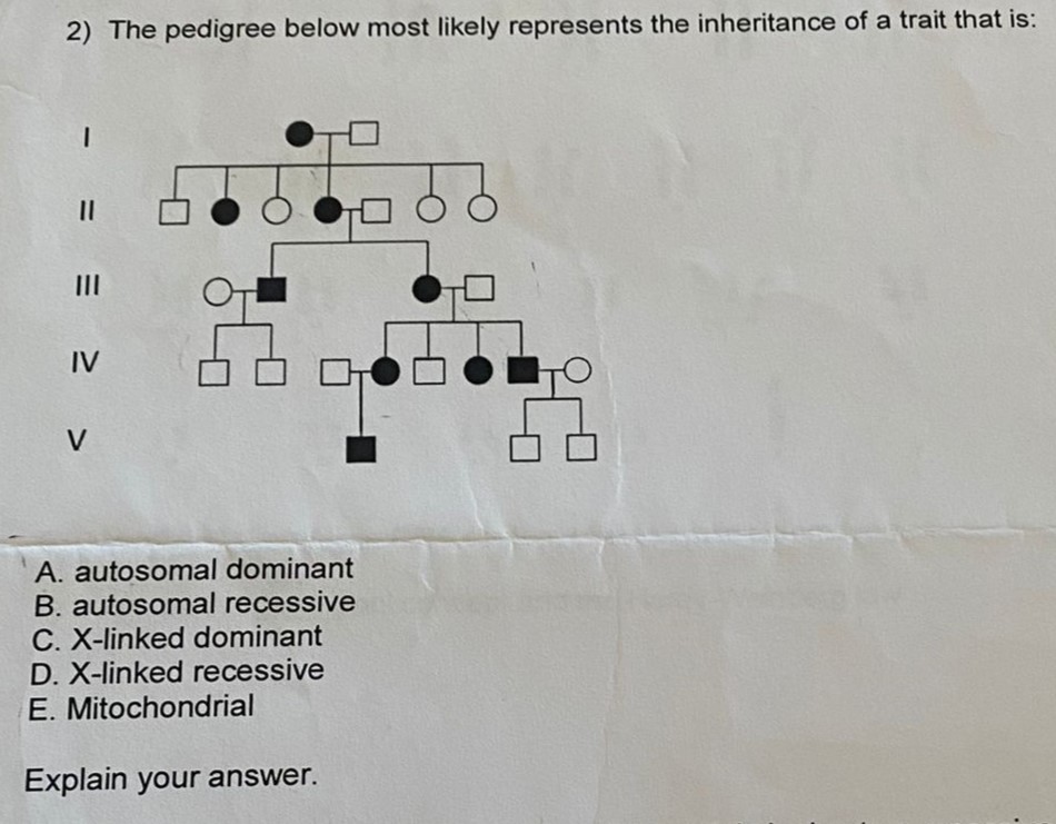 SOLVED: 2) The pedigree below most likely represents the inheritance of a trait that is: I II ...