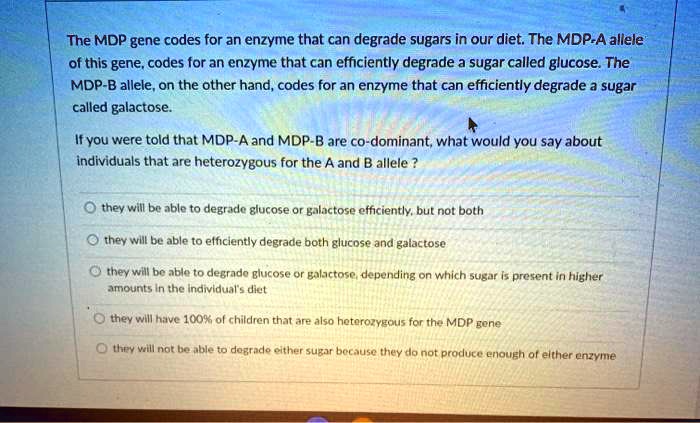 SOLVED: The MDP gene codes for an enzyme that can degrade sugars in our ...