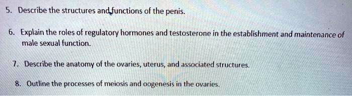 SOLVED: Chapter 27 5-8 5. Describe the structures and functions of the ...