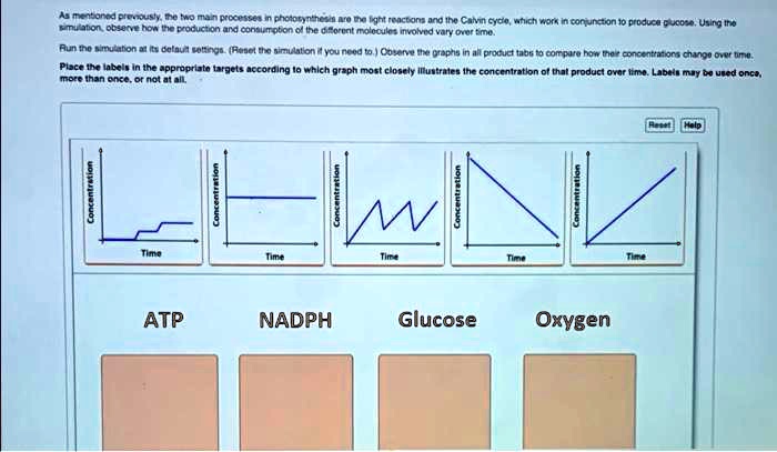 as mentioned preoustythe two main processes in photosynthesi are the ...