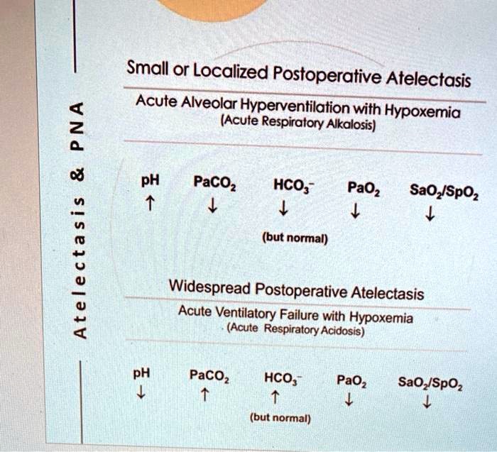 SOLVED: What do the ABGs indicate and why does the ABGs change? Small ...