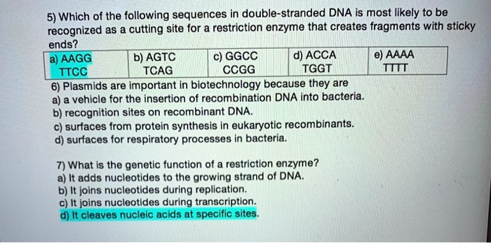 5 which of the following sequences in double stranded dna is most ...