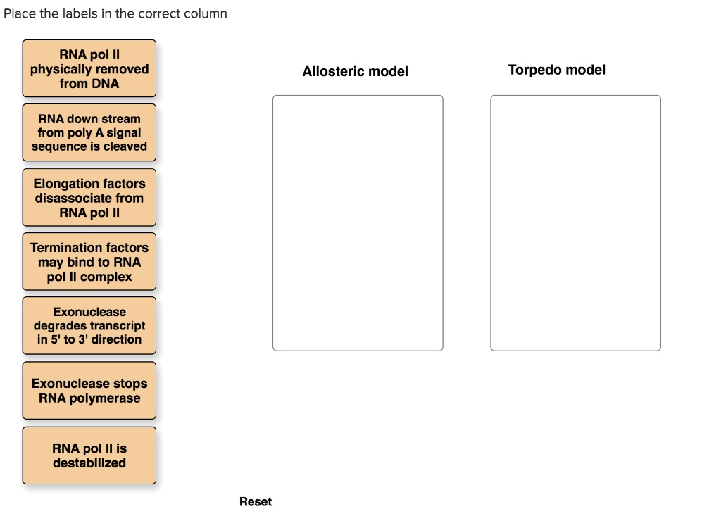 place the labels in the correct column rna pol physically removed from ...