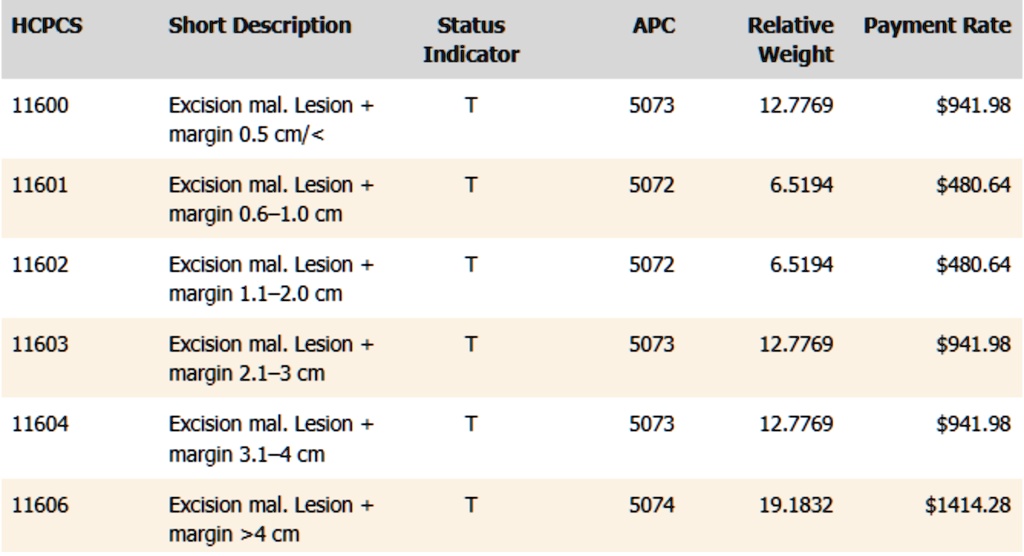 calculate the payment for an excision of a 20 cm malignant lesion note ...