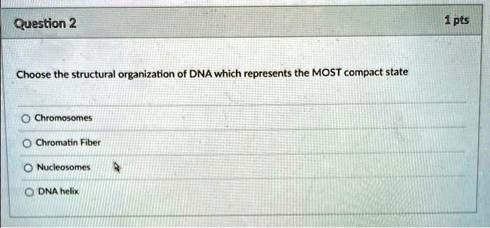 SOLVED: Choose the structural organization of DNA which represents the ...