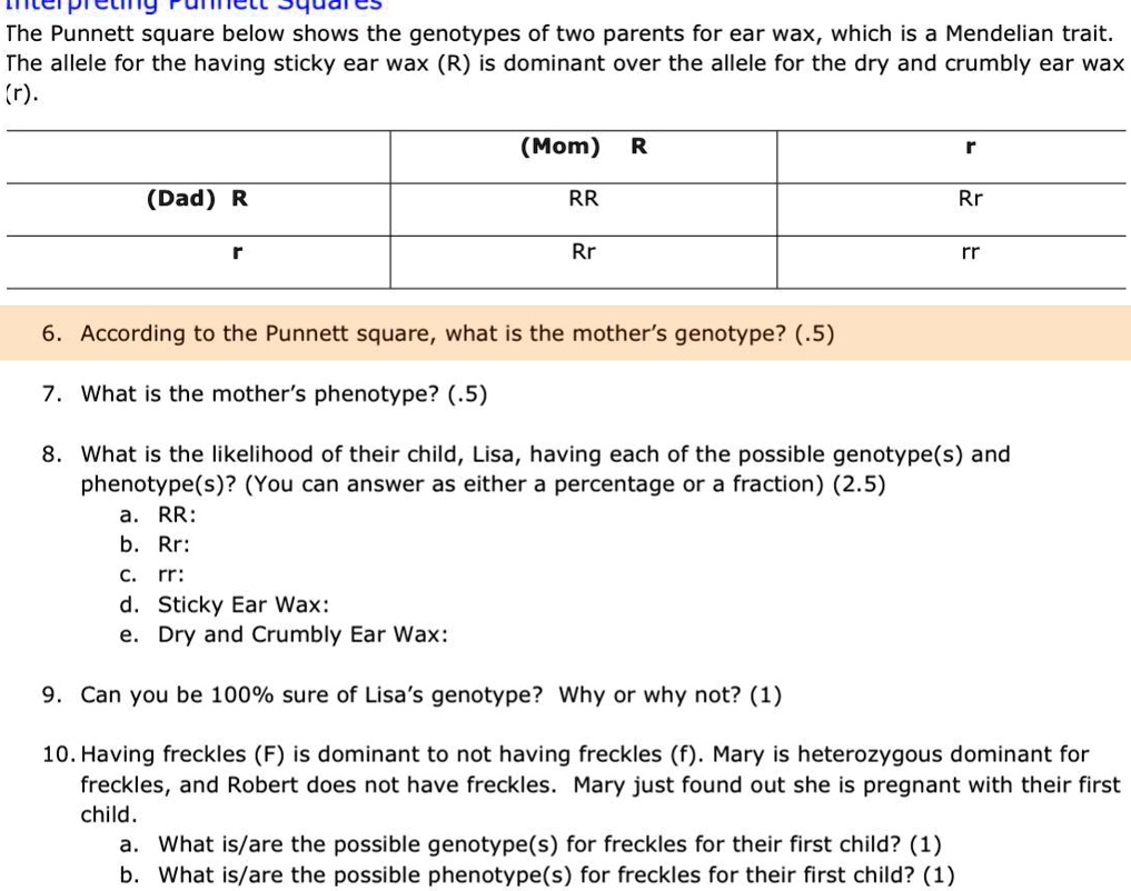 The Punnett square below shows the genotypes of two parents for ear wax ...