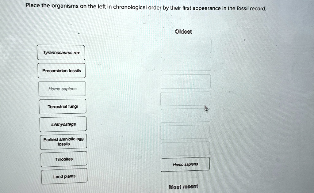 place the organisms on the left in chronological order by their first ...