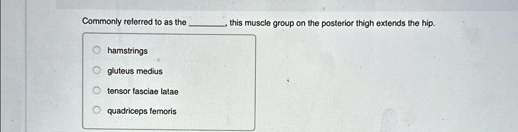 Commonly referred to as the hamstring muscle group, this muscle group ...
