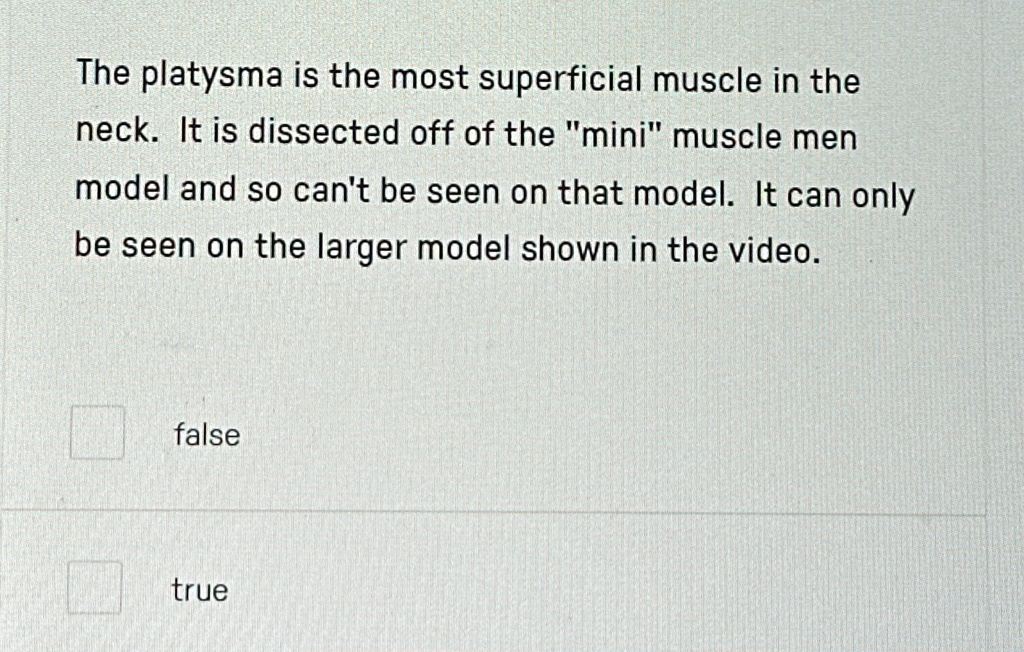 the platysma is the most superficial muscle in the neck it is dissected ...
