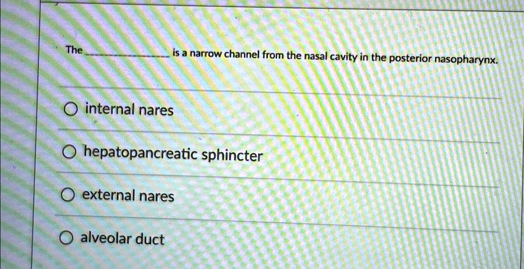 The is a narrow channel from the nasal cavity in the posterior ...