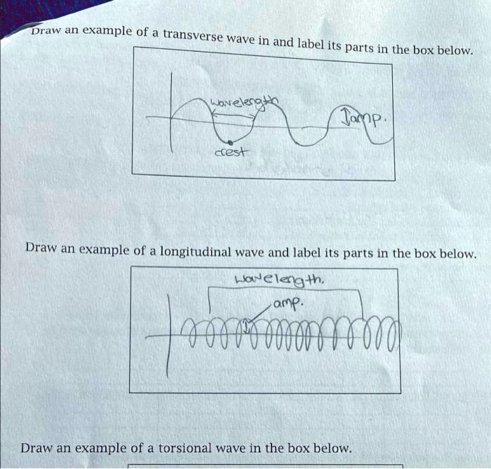 Parts Of A Transverse Wave