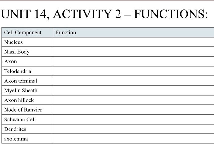 unit 14activity 2 functions cell component nucleus function nissl body ...