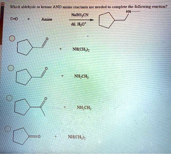 SOLVED: Which aldehyde or ketone and amine reactants are needed to ...