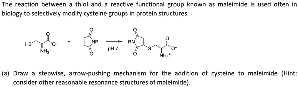 The reaction between a thiol and a reactive functional group known as maleimide is used often in ...