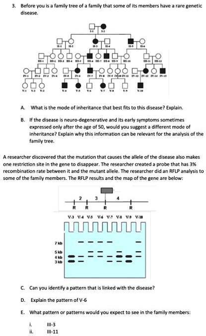 SOLVED: Before you is a family tree of a family in which some of its ...