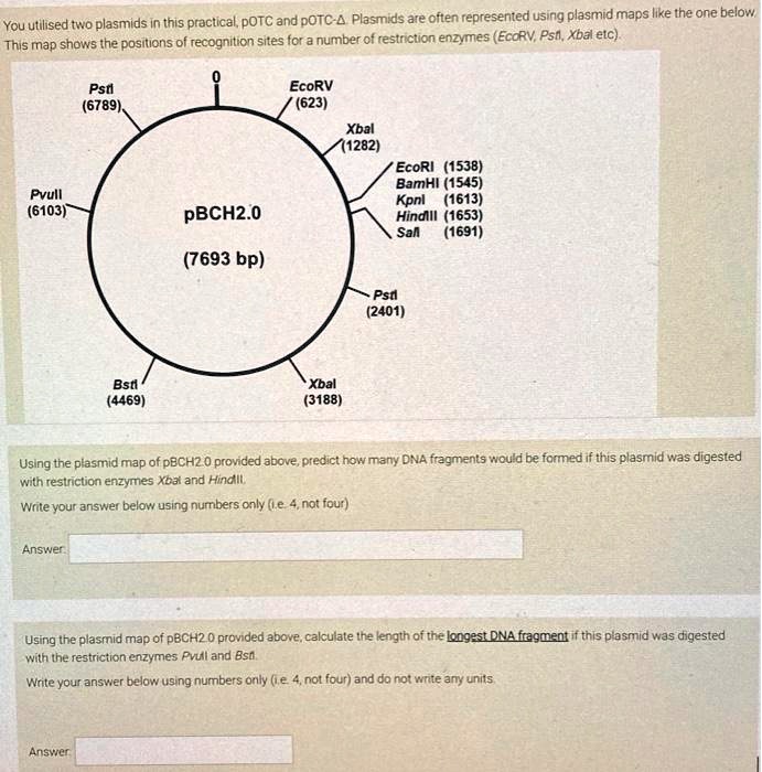 SOLVED: Please help with the full solution, thank you. You utilized two ...