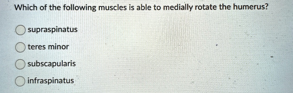 which of the following muscles is able to medially rotate the humerus ...