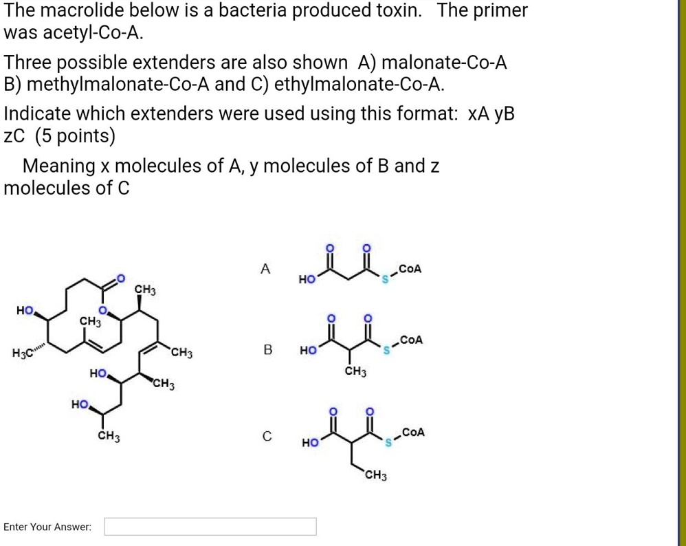 SOLVED: The macrolide below is a bacteria produced toxin: The primer ...