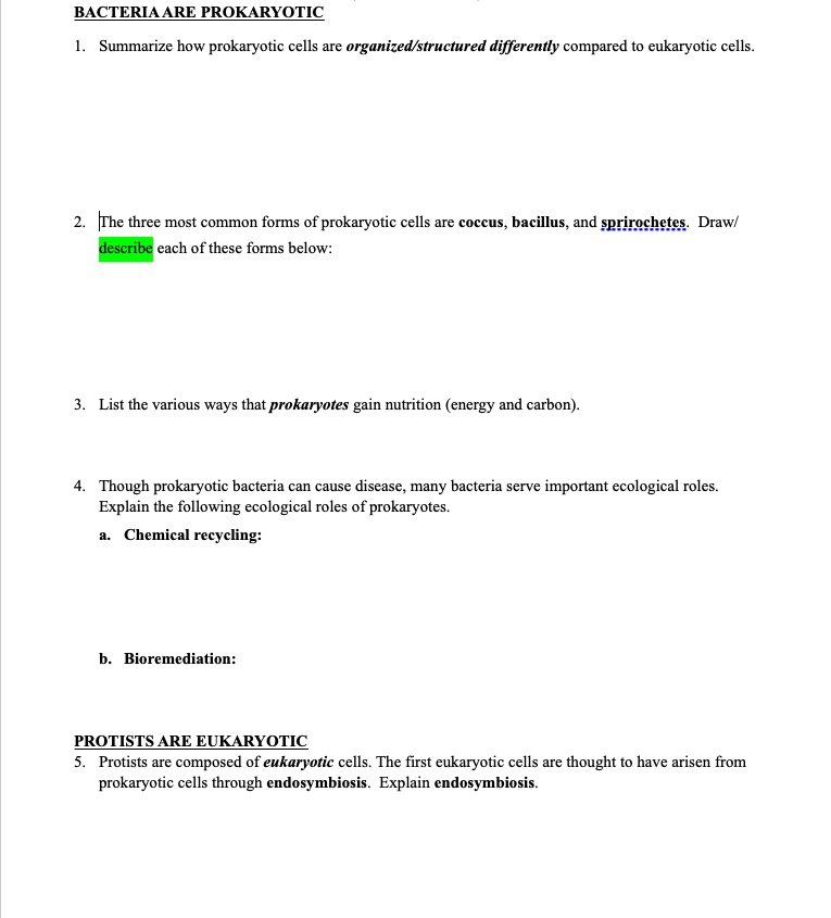 BACTERIA ARE PROKARYOTIC Summarize how prokaryotic cells are organized ...