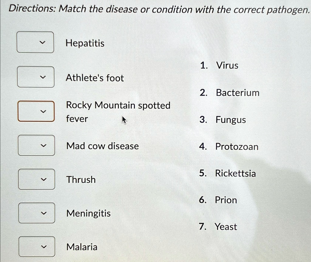 SOLVED: Directions: Match the disease or condition with the correct ... SOLVED: Directions: Match the disease or condition with the correct ...