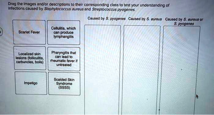 SOLVED: Drag the images and descriptions to their corresponding class ...