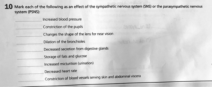 10 Mark each of the following as an effect of the sympathetic nervous ...
