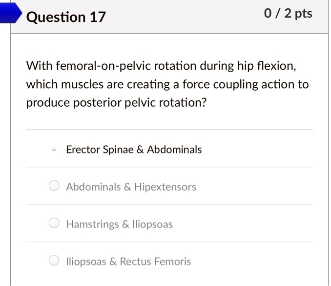 SOLVED: With femoral-on-pelvic rotation during hip flexion, which ...