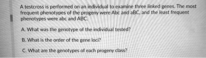 SOLVED: A testcross is performed on an individual to examine three ...