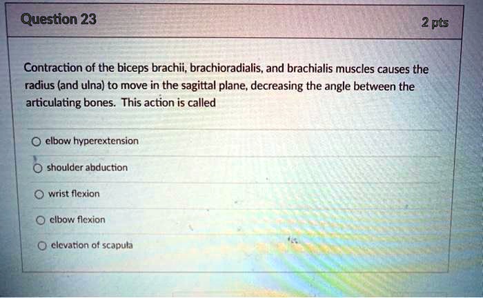 Question 23 2 pts Contraction of the biceps brachii, brachioradialis ...
