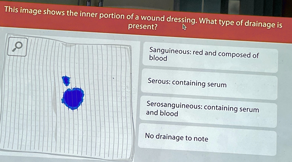 this image shows the inner portion of a wound dressing what type of ...