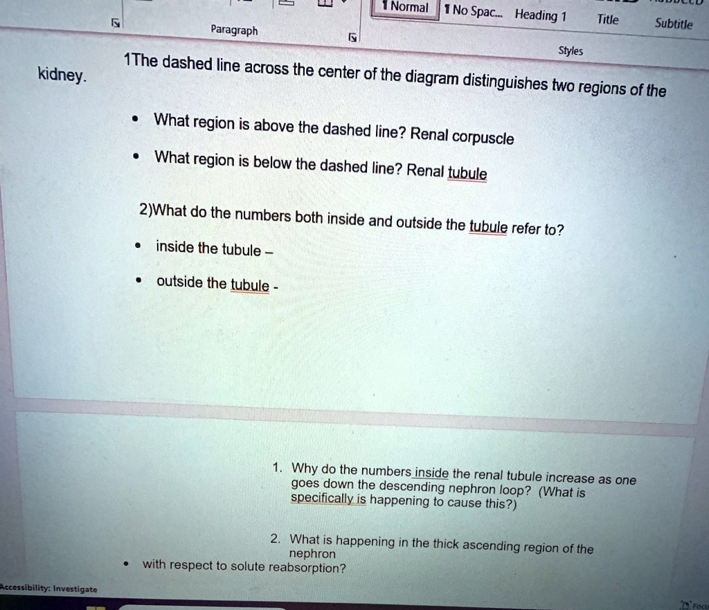 kidney 1 the dashed line across the center of the diagram distinguishes ...