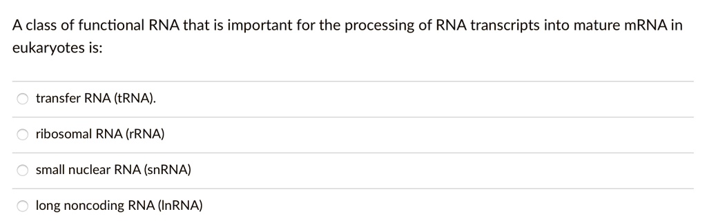 SOLVED: A class of functional RNA that is important for the processing ...