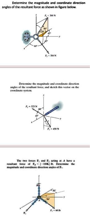 Solved Determine The Magnitude And Coordinate Direction Angles Of The