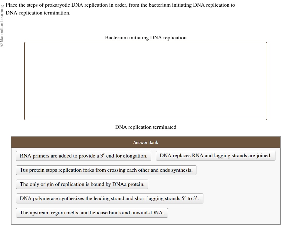 Place the steps of prokaryotic DNA replication in order, from the bacterium initiating DNA ...