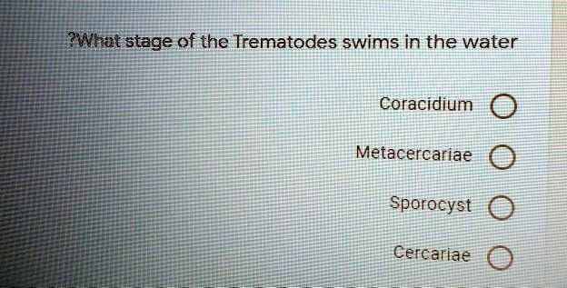 SOLVED: PWhat stage of the Trematodes swims in the water Coracidium 0 ...