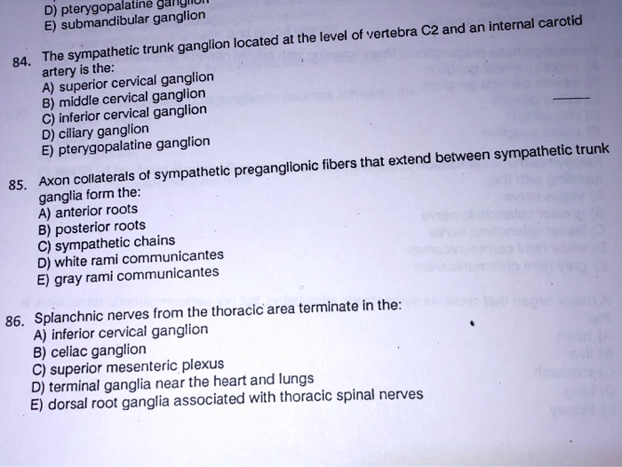 D) pterygopalatine ganglion E) submandibular ganglion 84. The ...