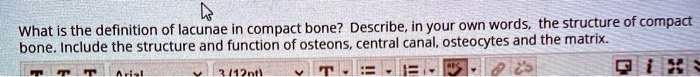 what is the definition of lacunae in compact bone describe in your own ...